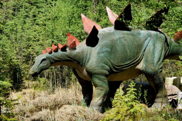 Goose Hummock RV Resort - Gibbons, AB - Country Club Tour